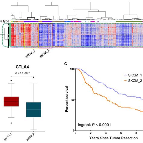 Skcm Patients With Differentially Expressed Immune Gene Signatures Have