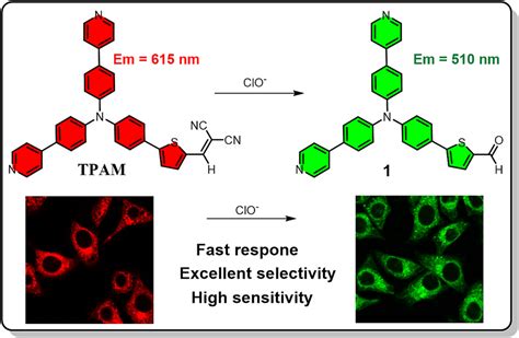 A Ratiometric Fluorescent Probe For Rapid And Specific Detection Of