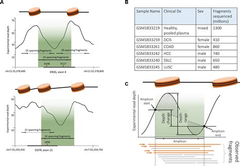 Frontiers Utility Of Cfdna Fragmentation Patterns In Designing The