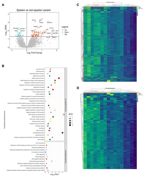 Host Transcriptomic Profiling And Differential Gene Expression Analysis