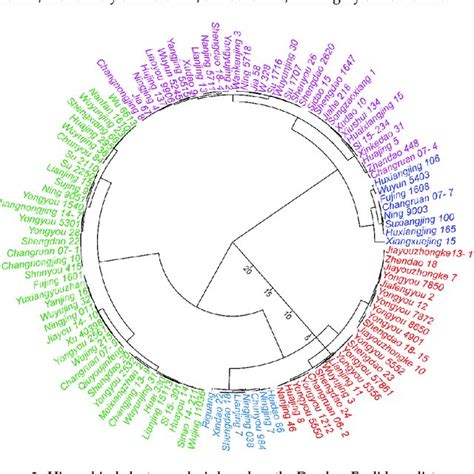 Hierarchical Cluster Analysis Based On The D Value Euclidean Distance