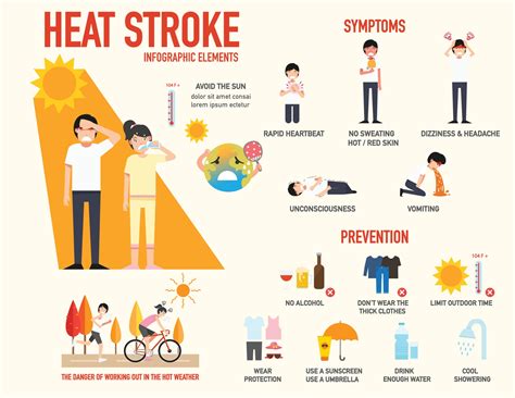 Heat Stroke Risk Sign And Symptom And Prevention Infographic Vector