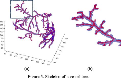Figure 5 From Quantitative Analysis Of Vessel Morphology Using Micro