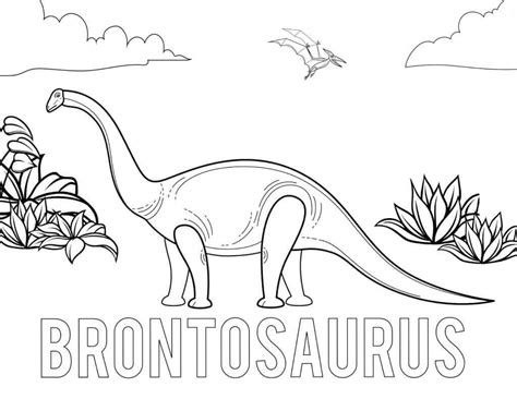 Dinosaurio Brontosaurio Para Colorear Imprimir E Dibujar Coloringonly Com