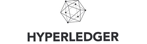 hyperledger project how to make the blockchain flexible