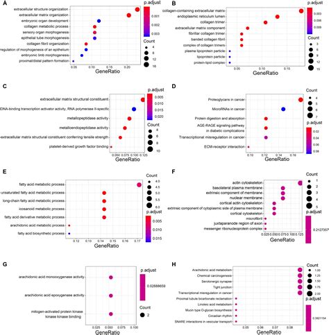 Frontiers Identification And Analysis Of Genes