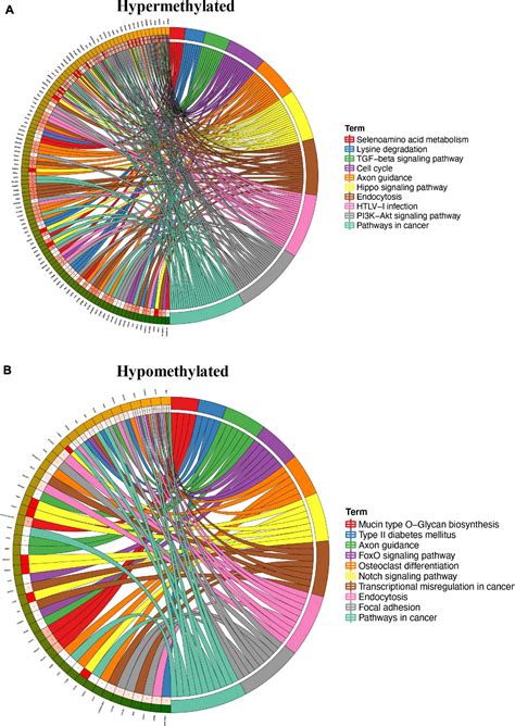 Frontiers Comprehensive Analysis Of The Transcriptome Wide M6a