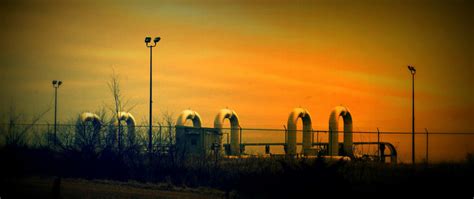 pass arguments from command line to main in flutter dart dev community