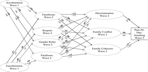 Results Of The Multigroup Model Standardized Path Coefficients For