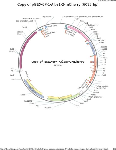 Addgene Pgex 6p 1 Hs Alps 1 Alps2 Mcherry