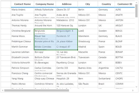ms excel like features in windows forms grid control control syncfusion