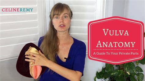 Normal Vulvar Anatomy