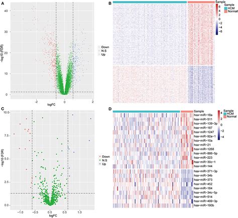 Frontiers Identification Of Potential Mirna Mrna Regulatory Network