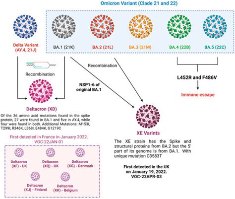 Vaccines Free Full Text The Emergence Of Hybrid Variants Of Sars