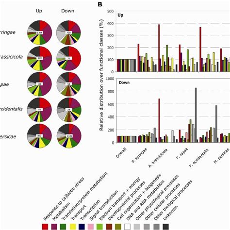 Functional Analysis Of Differentially Expressed Gene Sets A