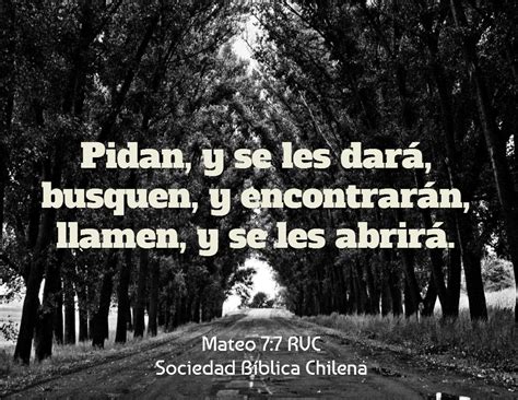Versículos De La Biblia Que Dan ánimo Y Aliento Sociedad Bíblica Chilena