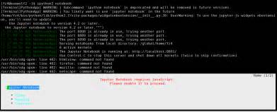 python ipython notebook can t open web browser stack overflow