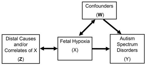The Hypothesized Relationship Between Birth Complications And Maternal