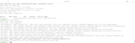how to properly automount a drive in ubuntu linux
