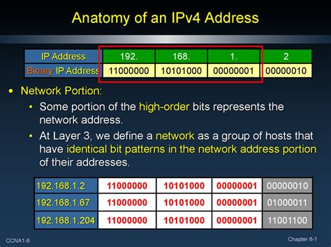 anatomy of an ip address anatomical charts and posters
