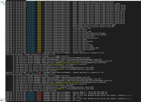 disable warning and errors in terminal ides support intellij