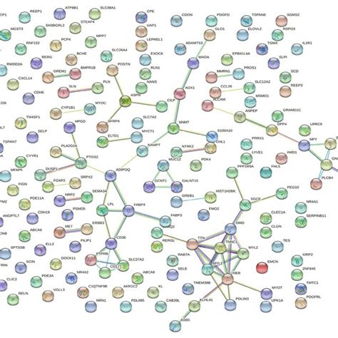 Protein Protein Interaction Network Of Down Regulated Genes Spheres