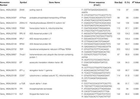 Frontiers Identification And Validation Of Reference Genes For Gene