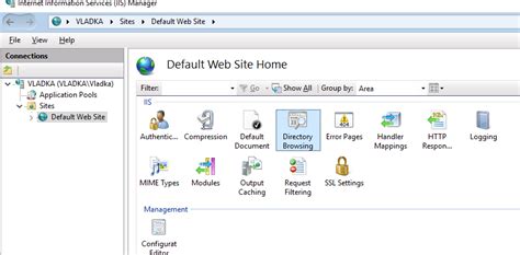 how to enable directory browsing by default on iis express 2022 code