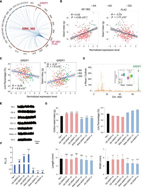 Integration Of Eqtl And Machine Learning To Dissect Causal Genes With