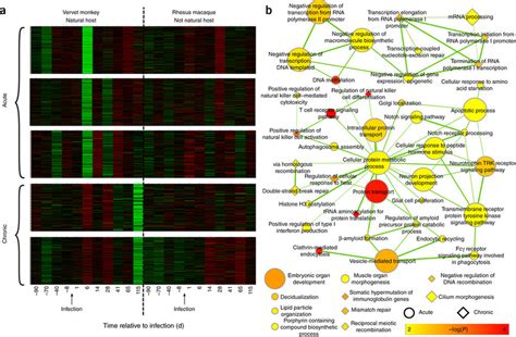 Gene Coexpression Modules With Differential Expression Before And After