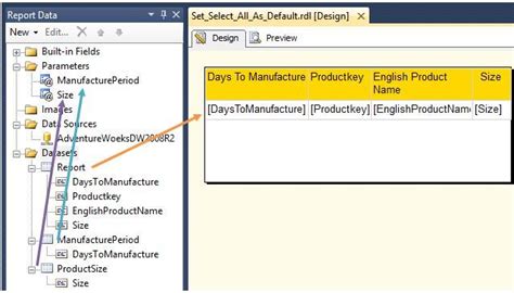 set select all as default for multi value report