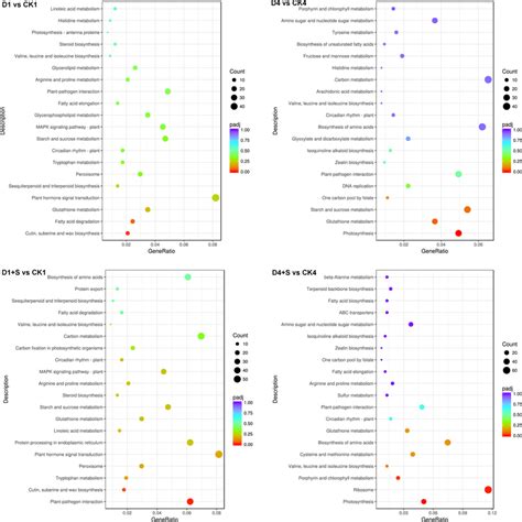 Functional Analysis Of Degs Based On Kegg Pathway Annotations Pathways