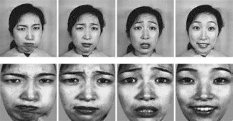 [pdf] Facial Expression Recognition With Local Binary Patterns And