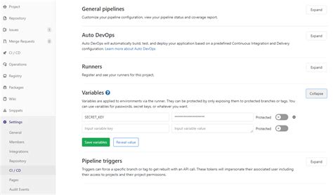 how to set environment variables for the ci cd in gitlab when using