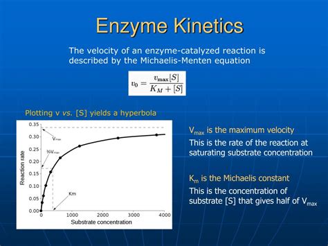 Ppt Enzyme Kinetics Powerpoint Presentation Free Download Id 196477