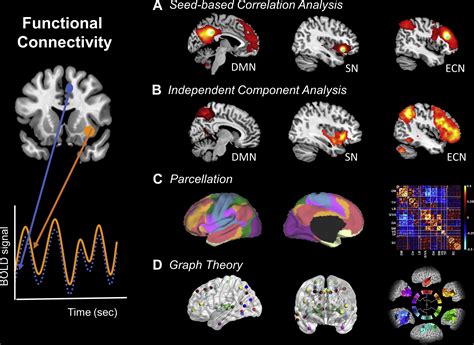 Applications Of Resting State Functional Connectivity To