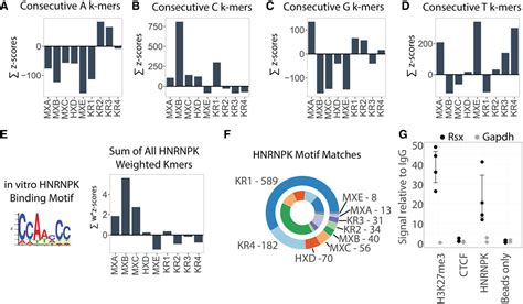 Nonlinear Sequence Similarity Between The Xist And Rsx Long Noncoding