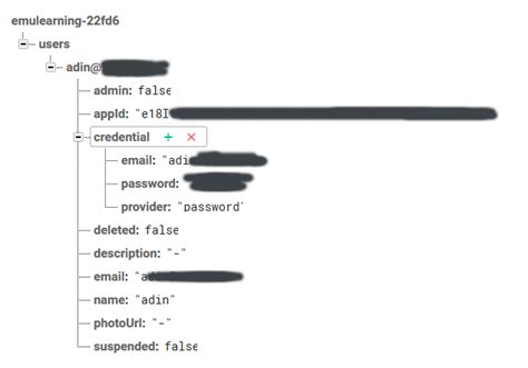 firebase auth can t instantiate authcredential website