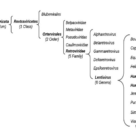 Schematic Representation Of Hiv Current Classification Download