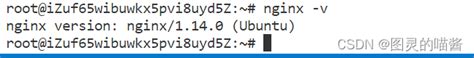 unable to fetch some archives maybe run apt get update or try with