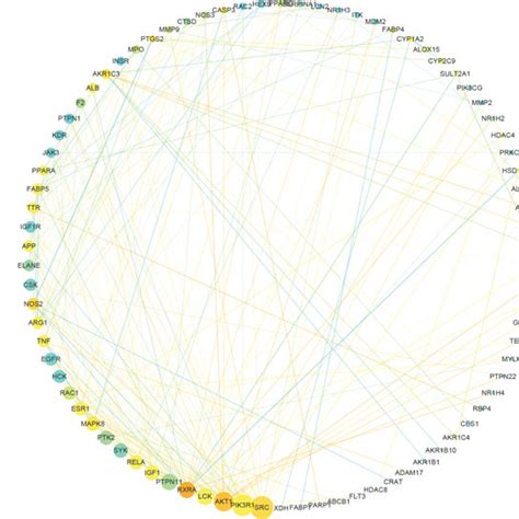 Visualization Of The Protein Protein Interaction Ppi Using String And