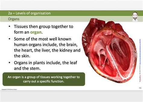 Igcse 9 1 Ultimate Presentation Bundle