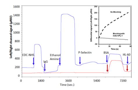 Xantec Bioanalytics Gmbh Products Spr Biosensors Applications
