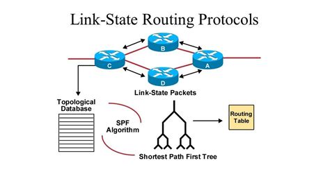 why does distance vector routing scale better than link state routing