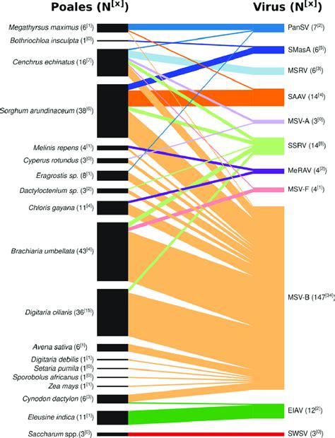 The Bipartite Interaction Graph Representing The Association Between