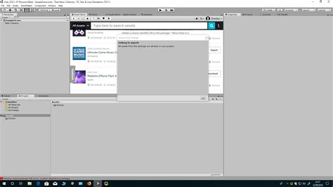 an asset from the store is failing to import into my project at the