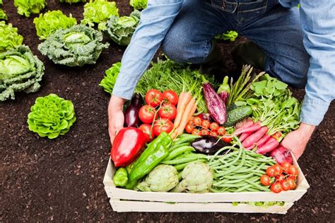 El Reto Una Agricultura Sustentable Productiva E Inclusiva
