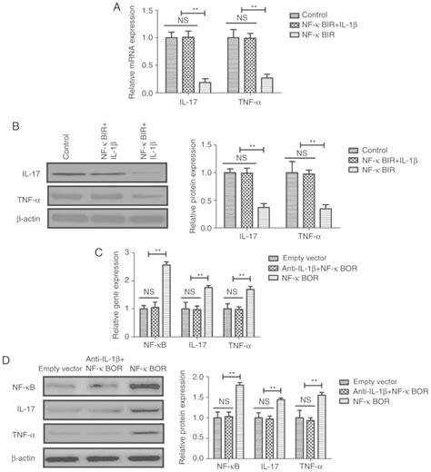 Il‑1β Increases The Expression Of Inflammatory Factors In Synovial