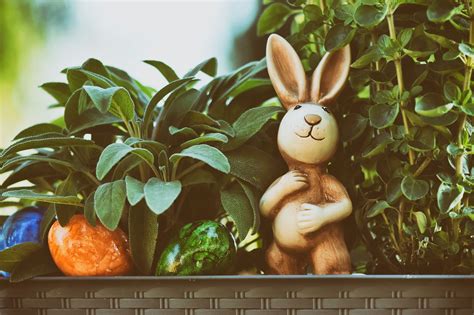 Ostern Osterhasen Osterfest Kostenloses Foto Auf Pixabay Pixabay