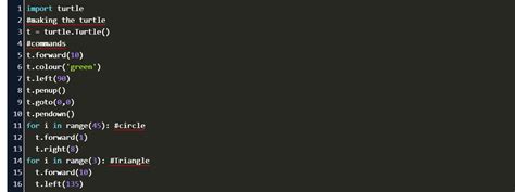 import turtle python code example